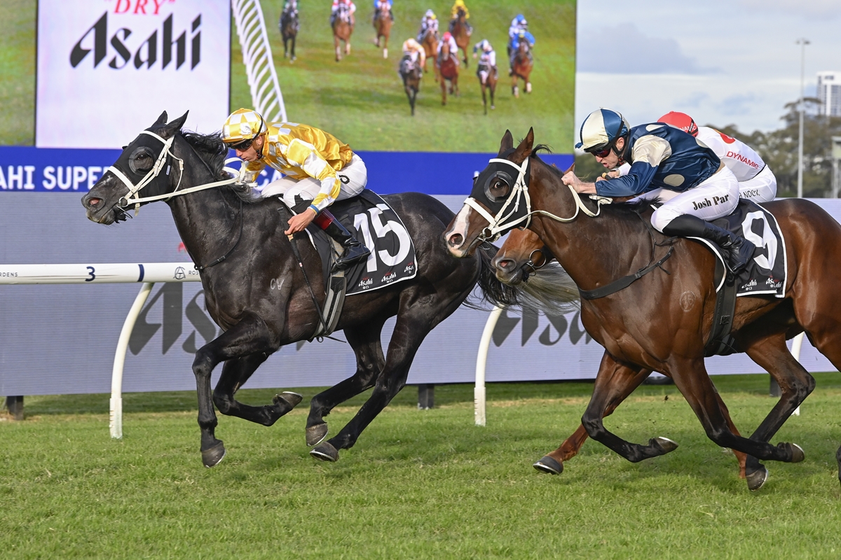 Misterkipchoge breaks through at Rosehill
