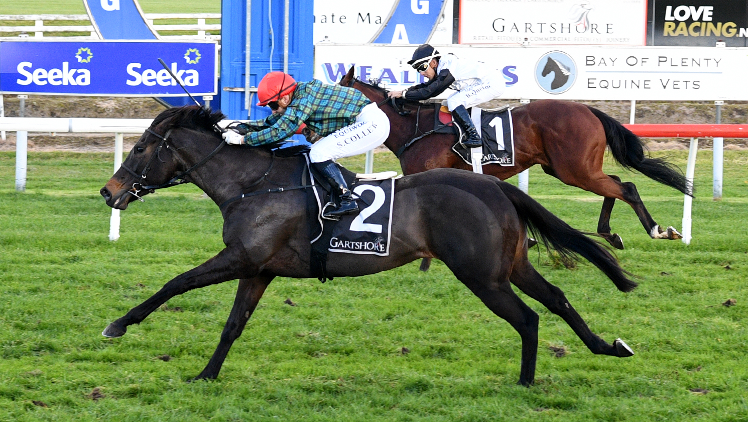 Cork’s popping after Classic triumph