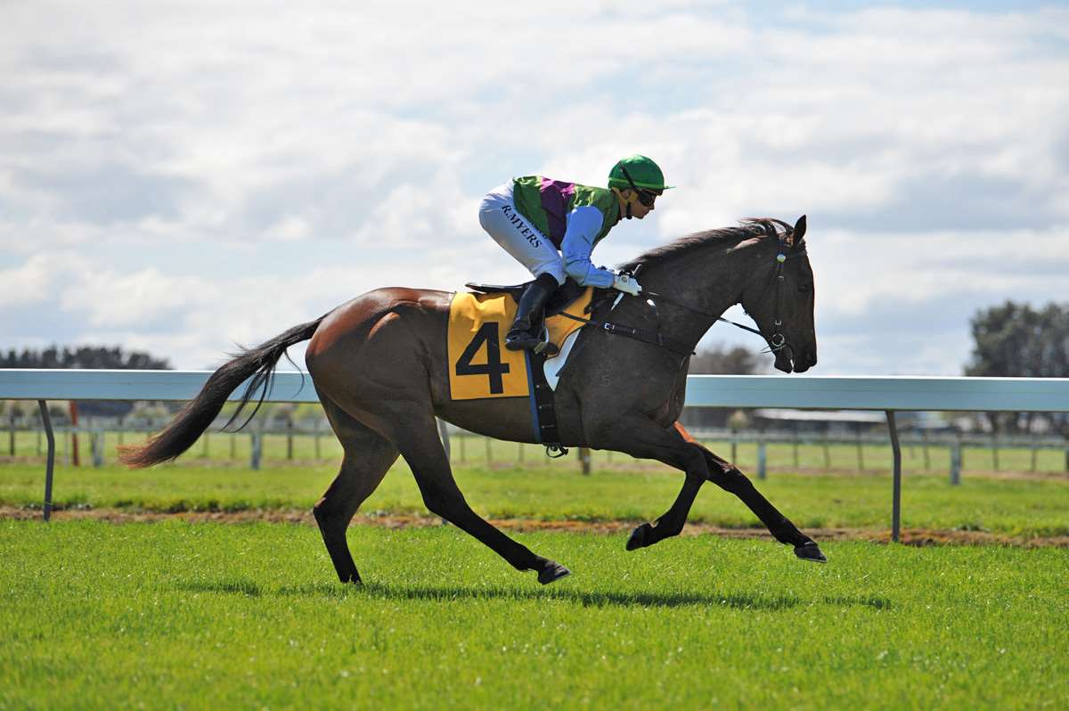 Myers continuing family dynasty