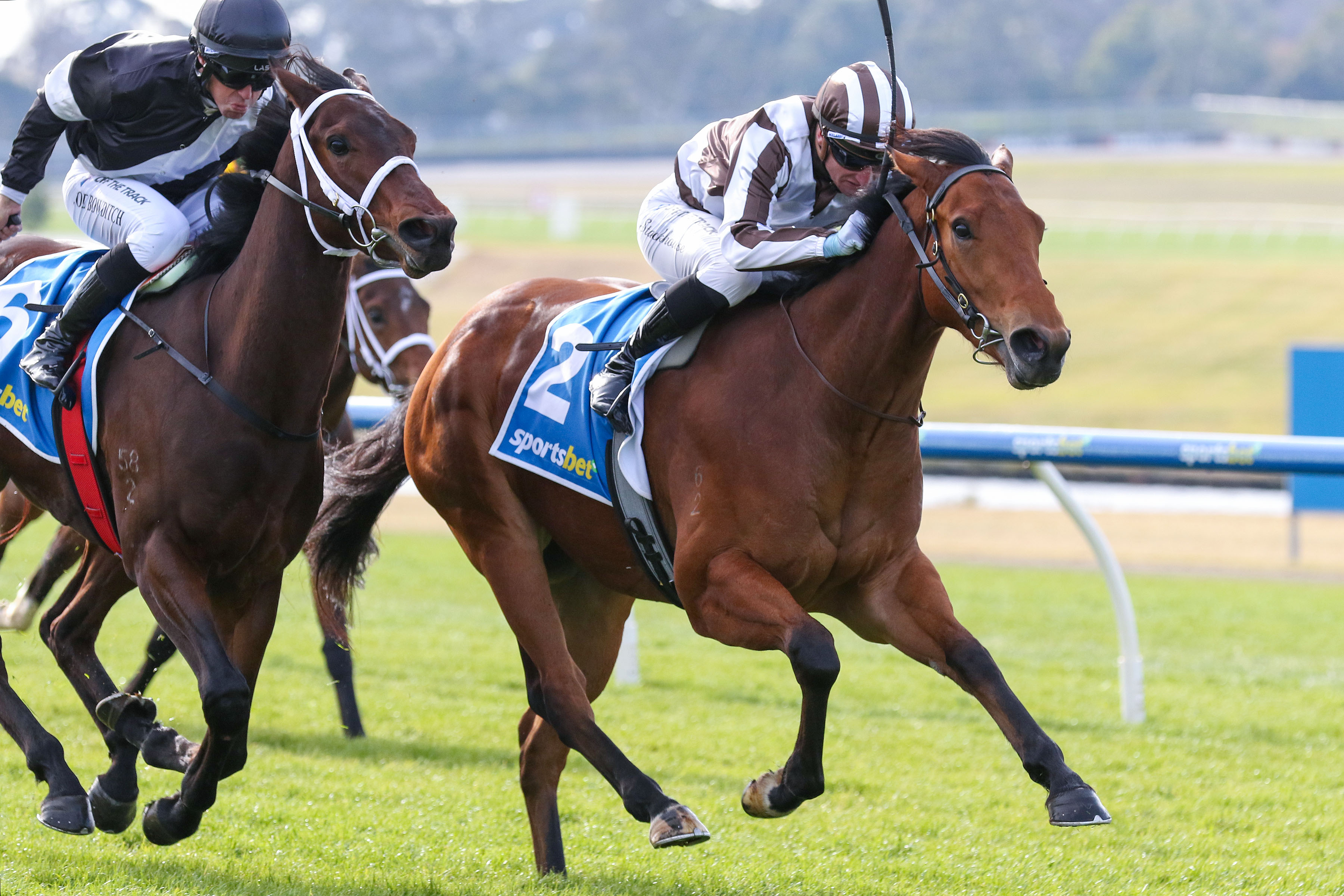 Hello Romeo resumes on winning note