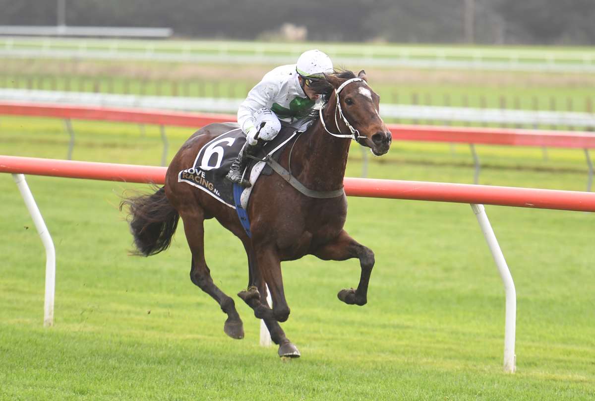 New recruit makes perfect start for Gordon