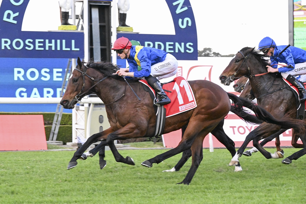 Sacred Rocks makes winning Sydney debut