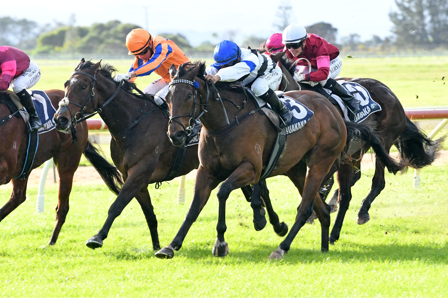 Waikato raiders dominate Winter Championships