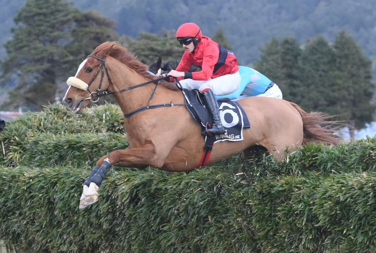 Al’s Red Zed takes Jesko form to Te Rapa