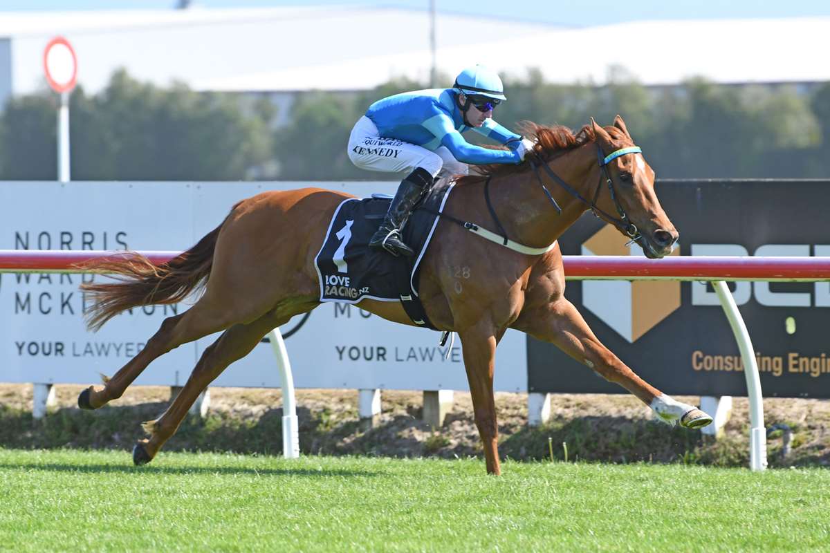 Group One-winning sprinter returns