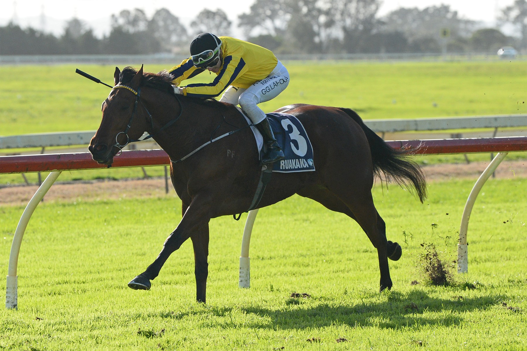 Reptak too speedy at Ruakaka