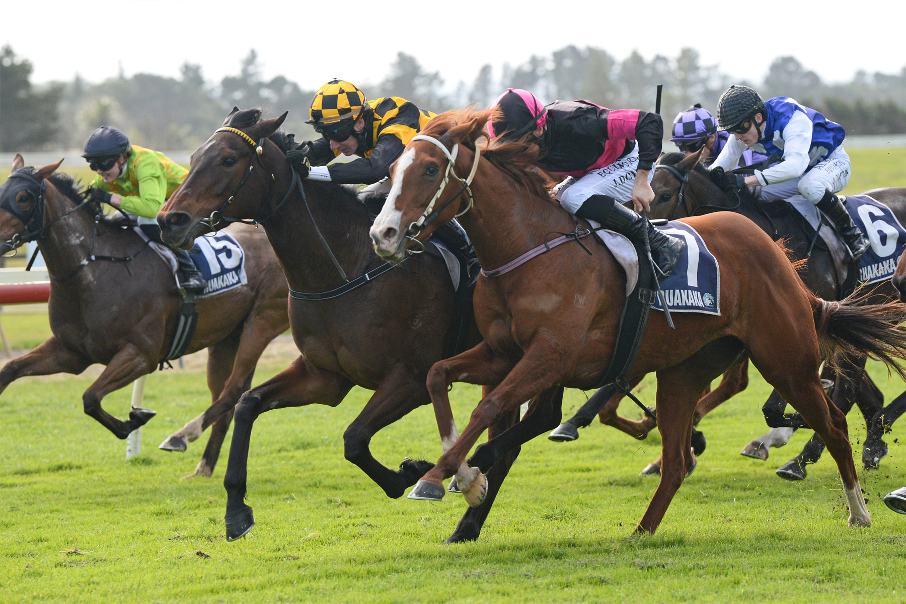 Daring Dame breaks through for elusive win