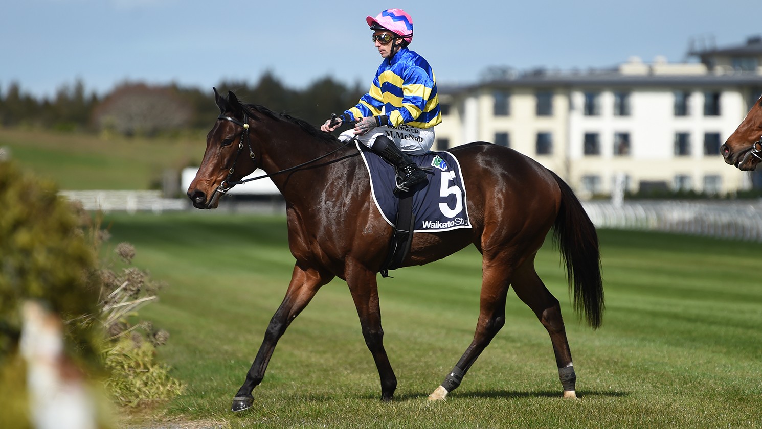 Quantum Legend shines on debut