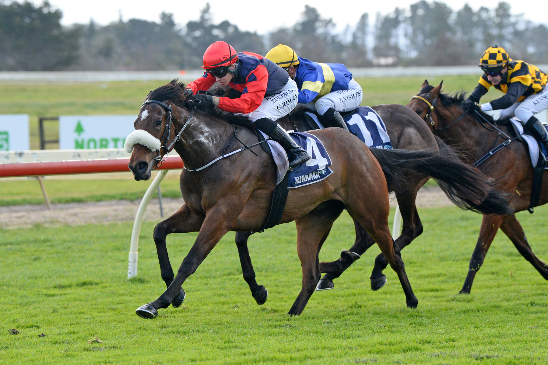 Transcend delivers for TAB Racing Club