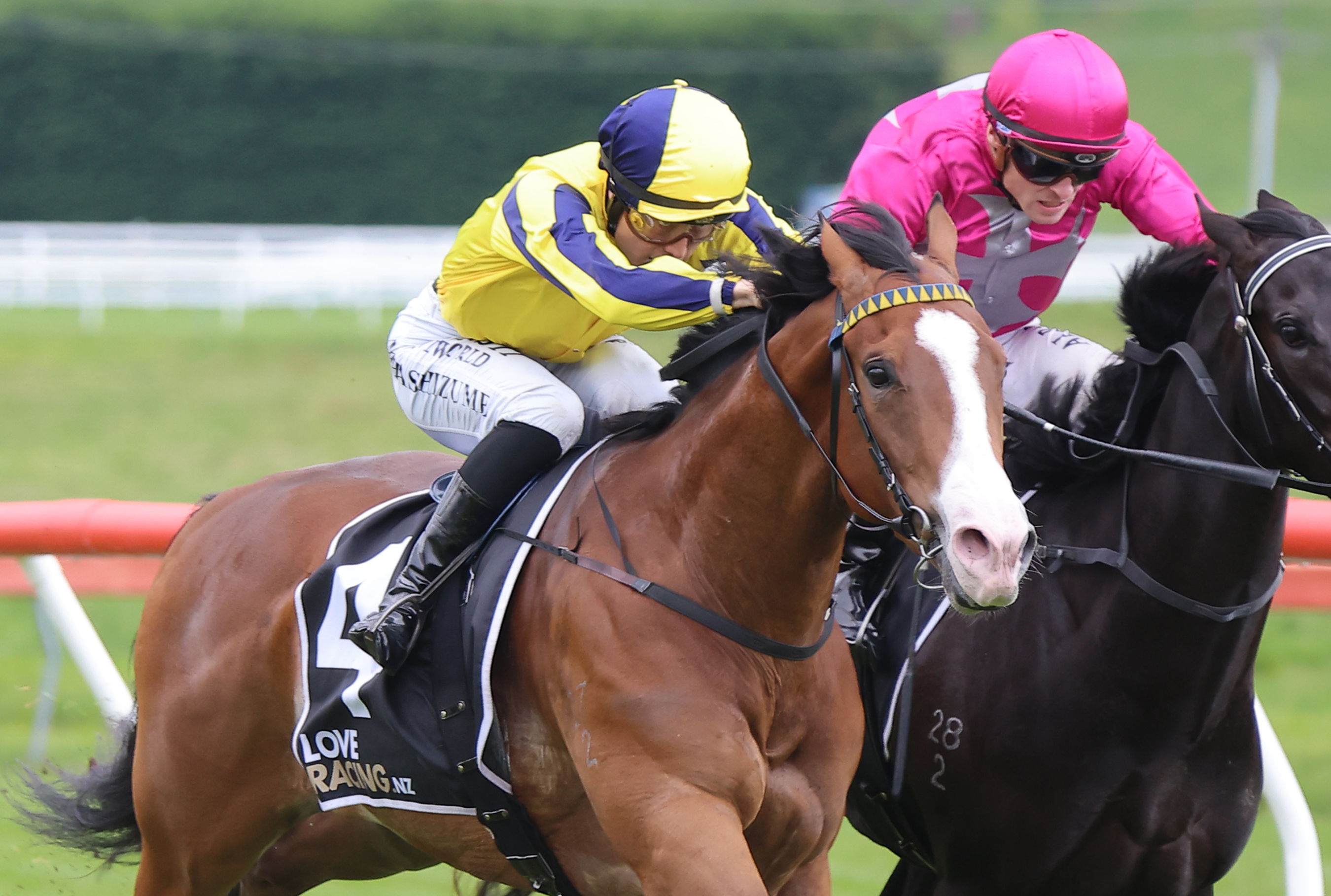 Weekend off to a winning start for Wexford