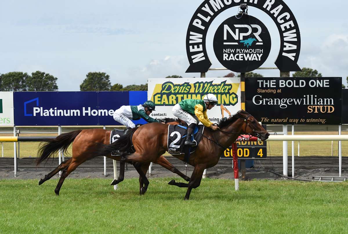 Weather to dictate Forsman plans at Te Rapa