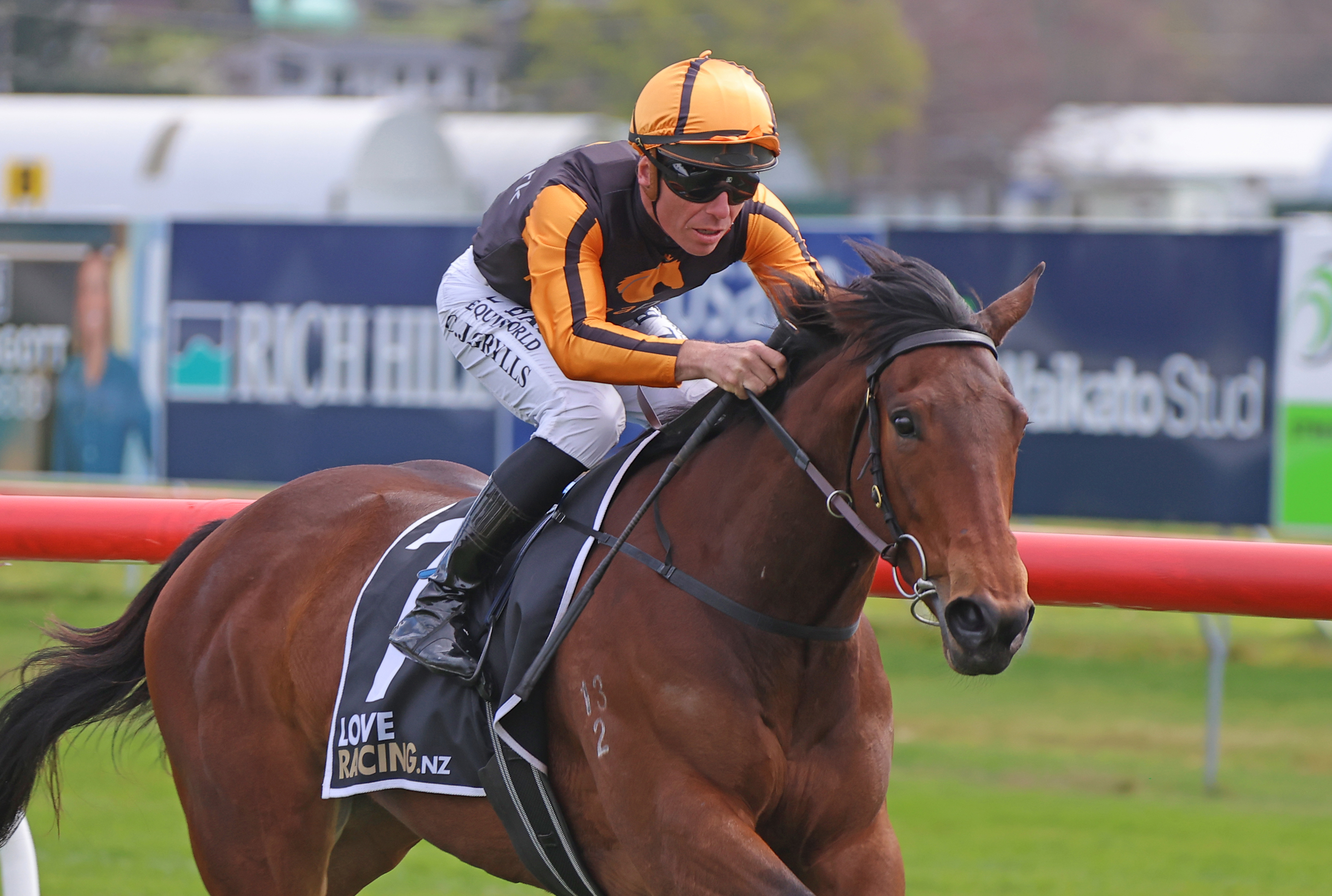 Three-year-old fillies impress at Taupo