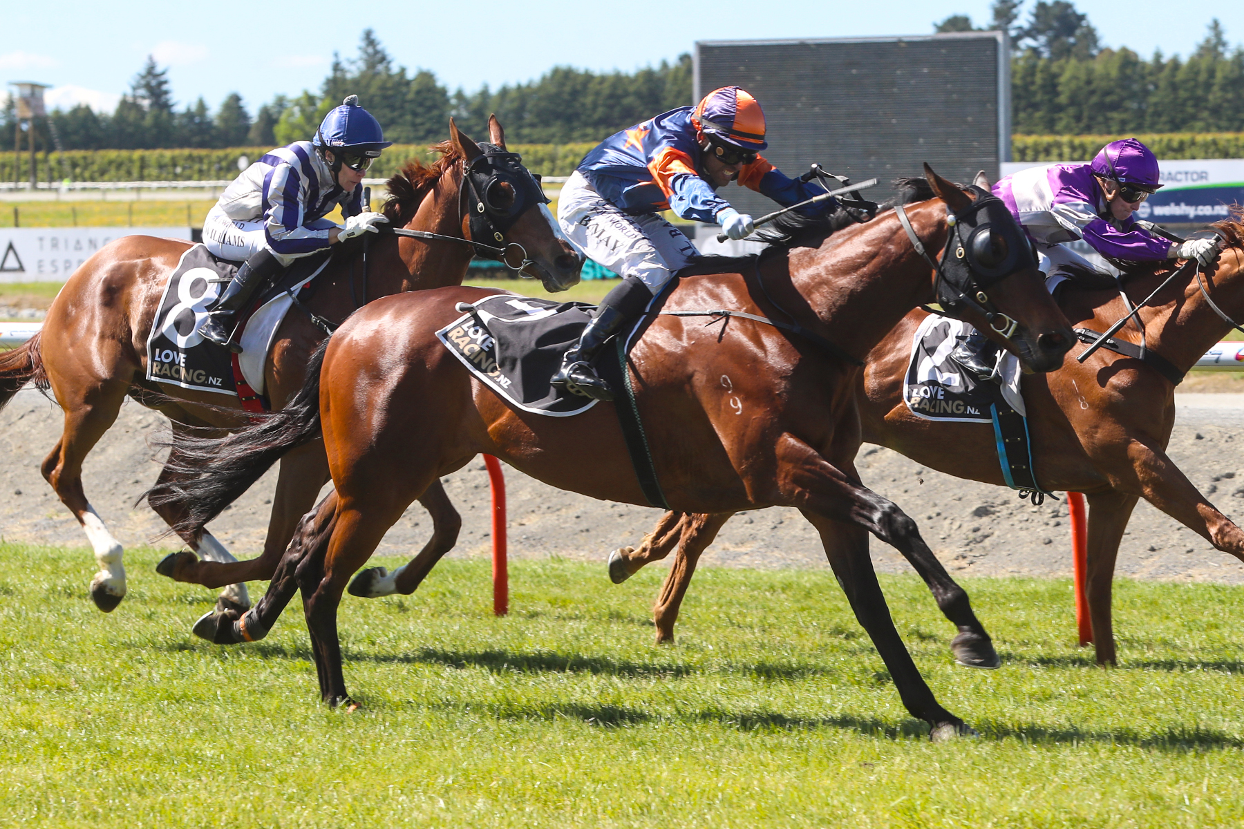 Northern Group One on the line for Richard Stomper
