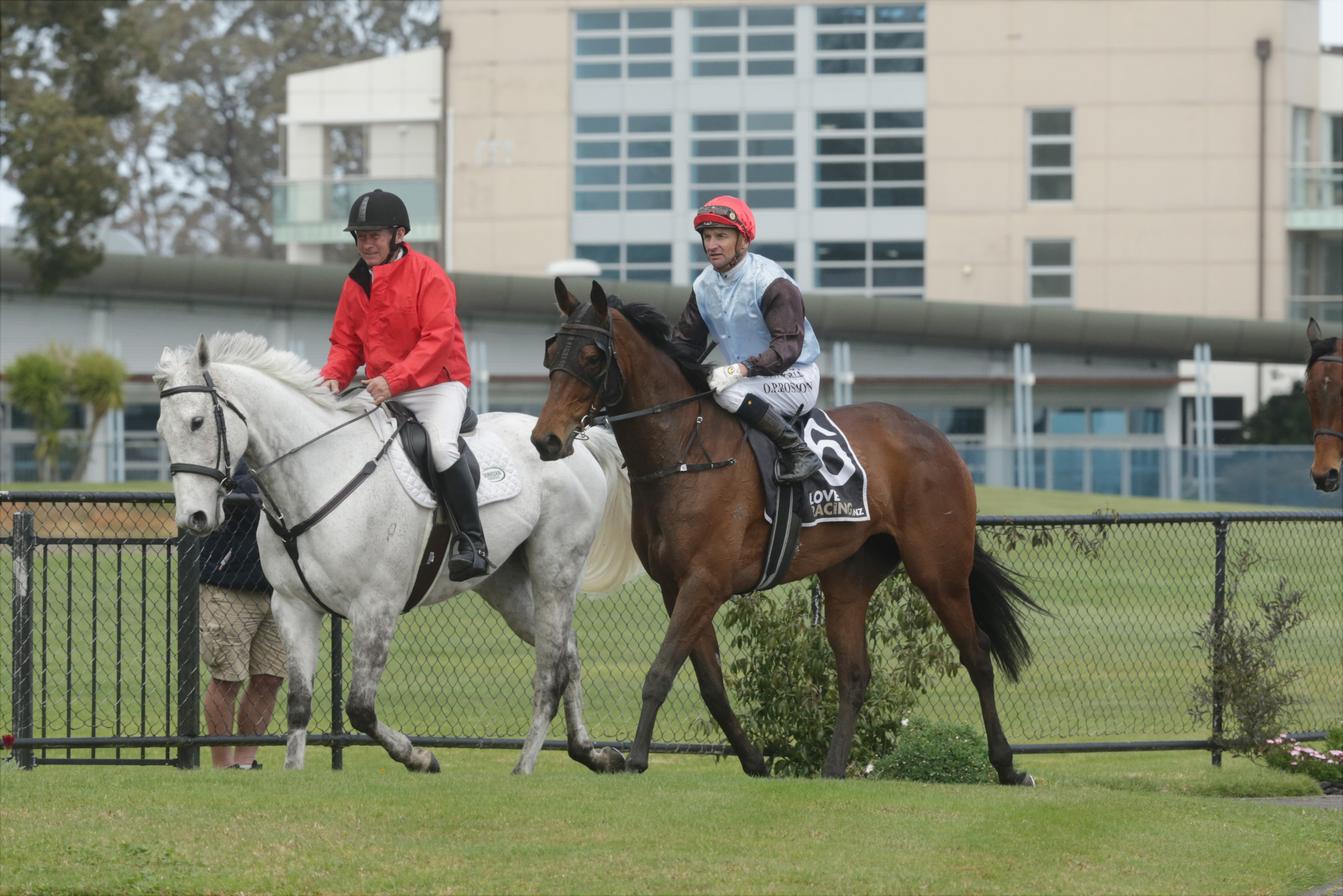 Sadhbh scores popular maiden win