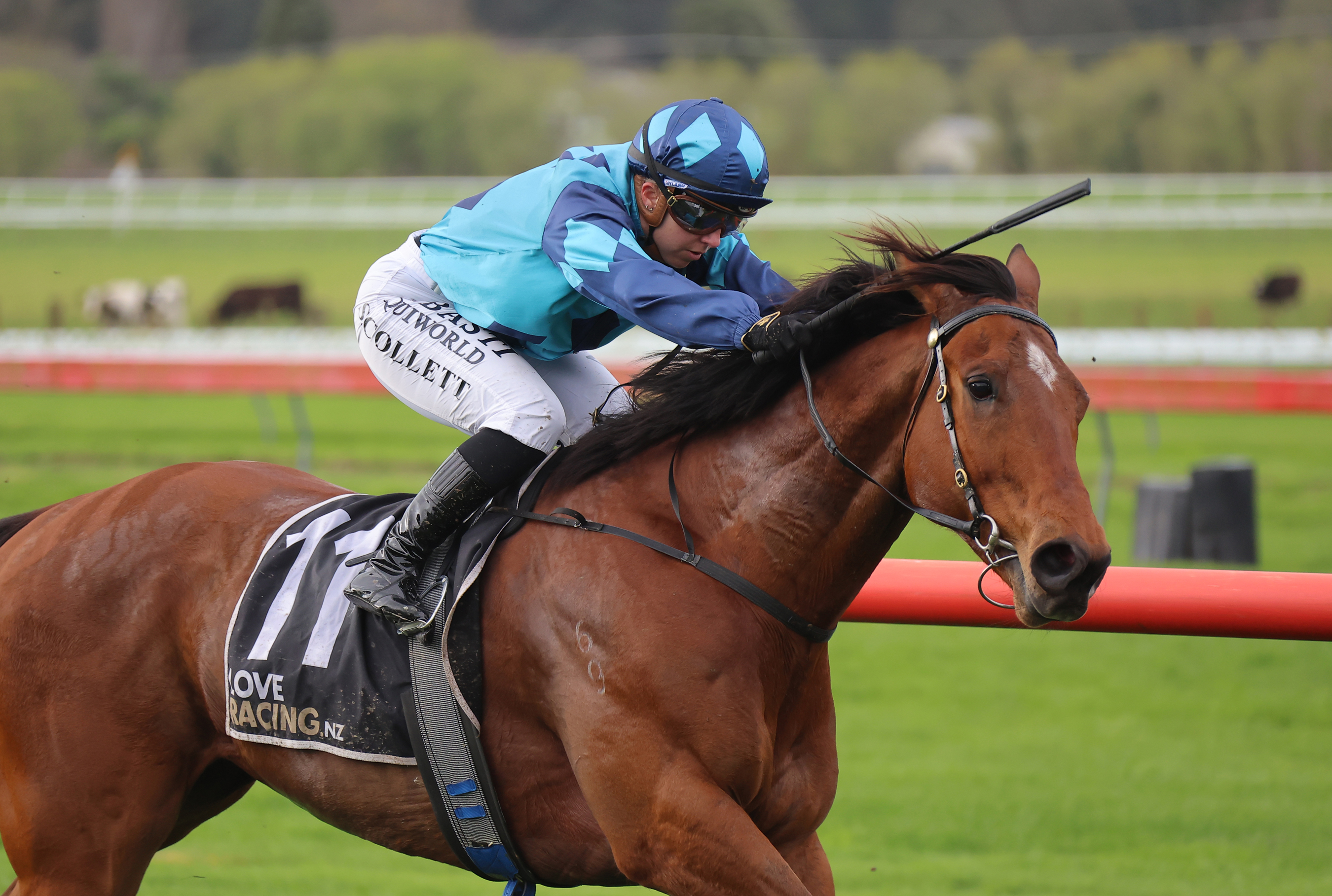 Patience paying off as The Scunner storms to first-up success