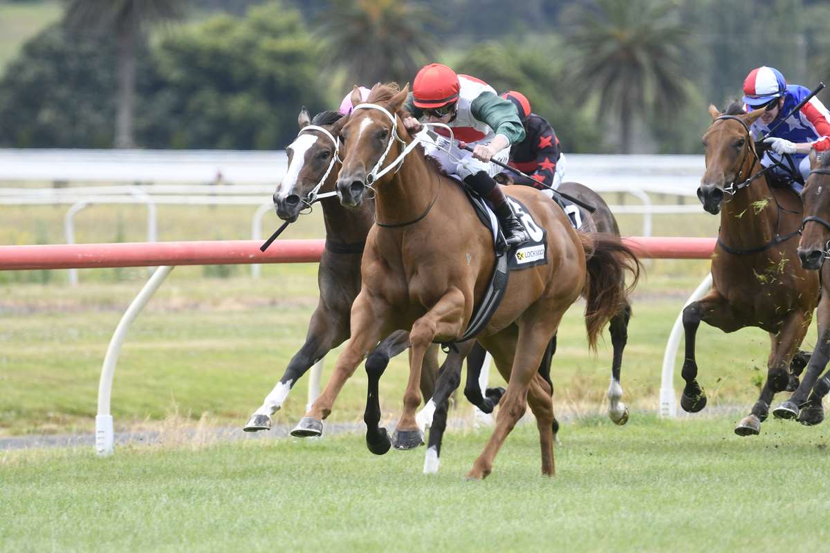 Sad barrier tale finally over for Guineas hope