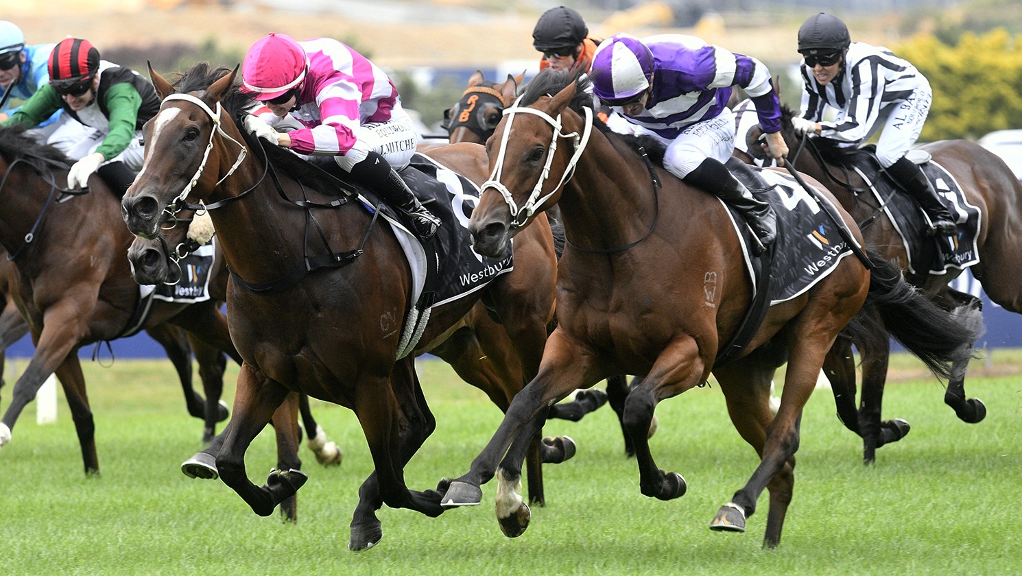 Australian raider wins Westbury thriller