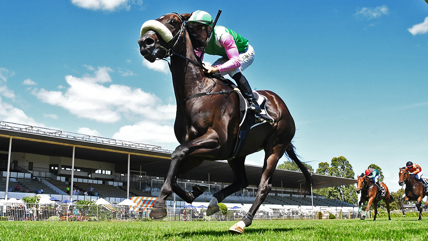 Stakes assignments await promising filly