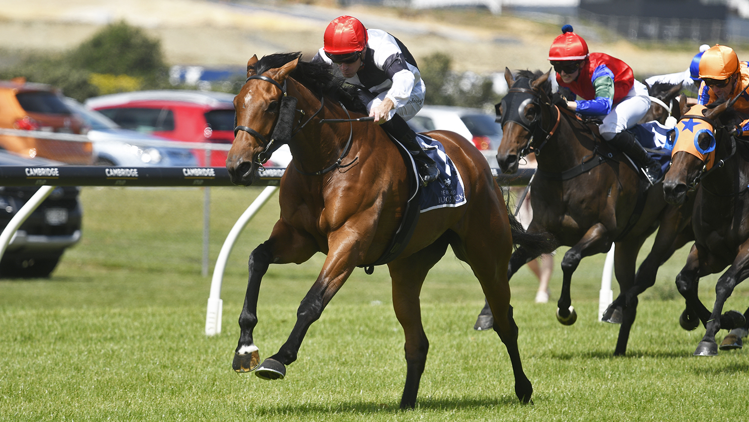 Real Class sold to Australian Bloodstock