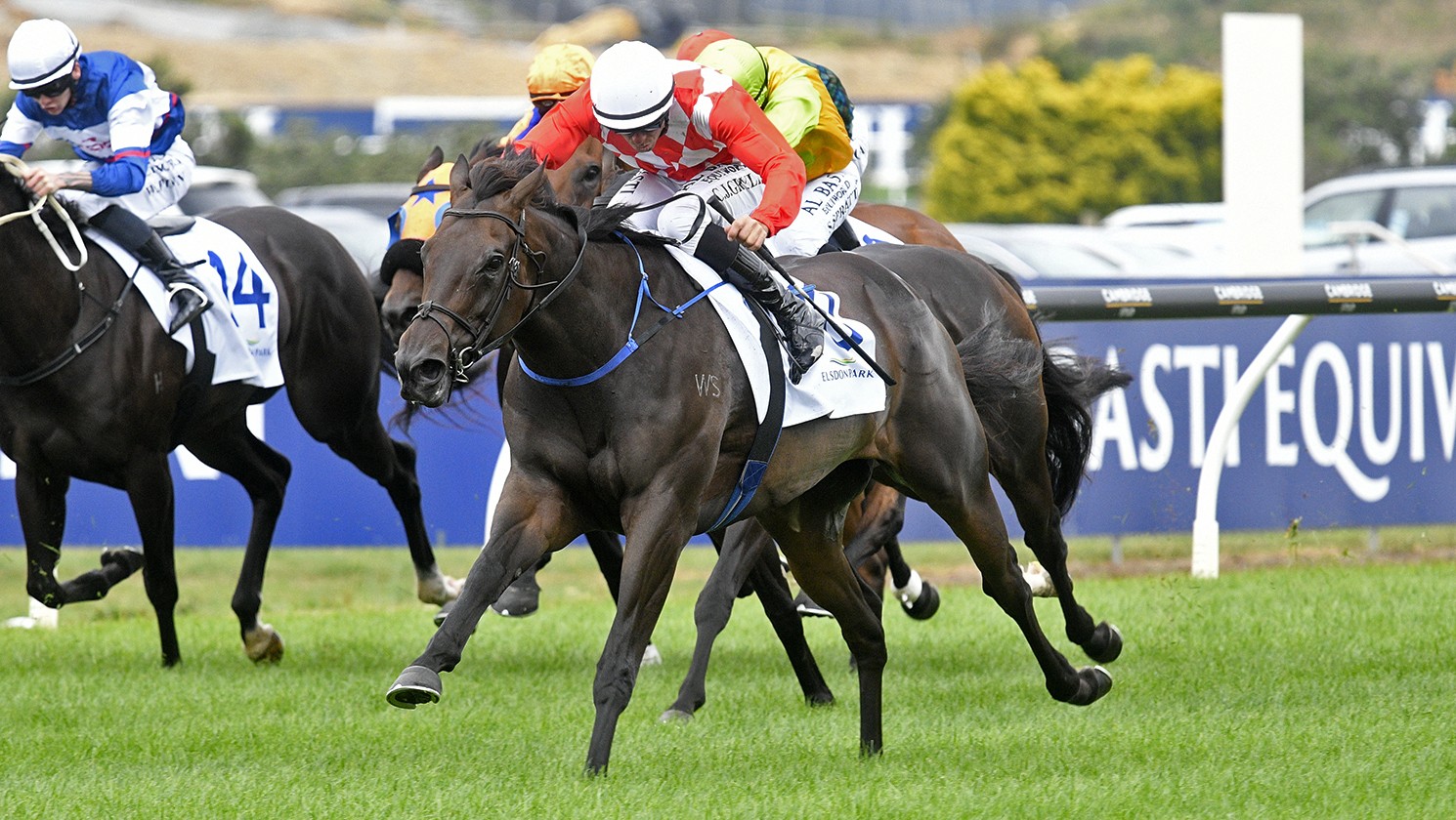Orchestral plays a winning tune at Ellerslie