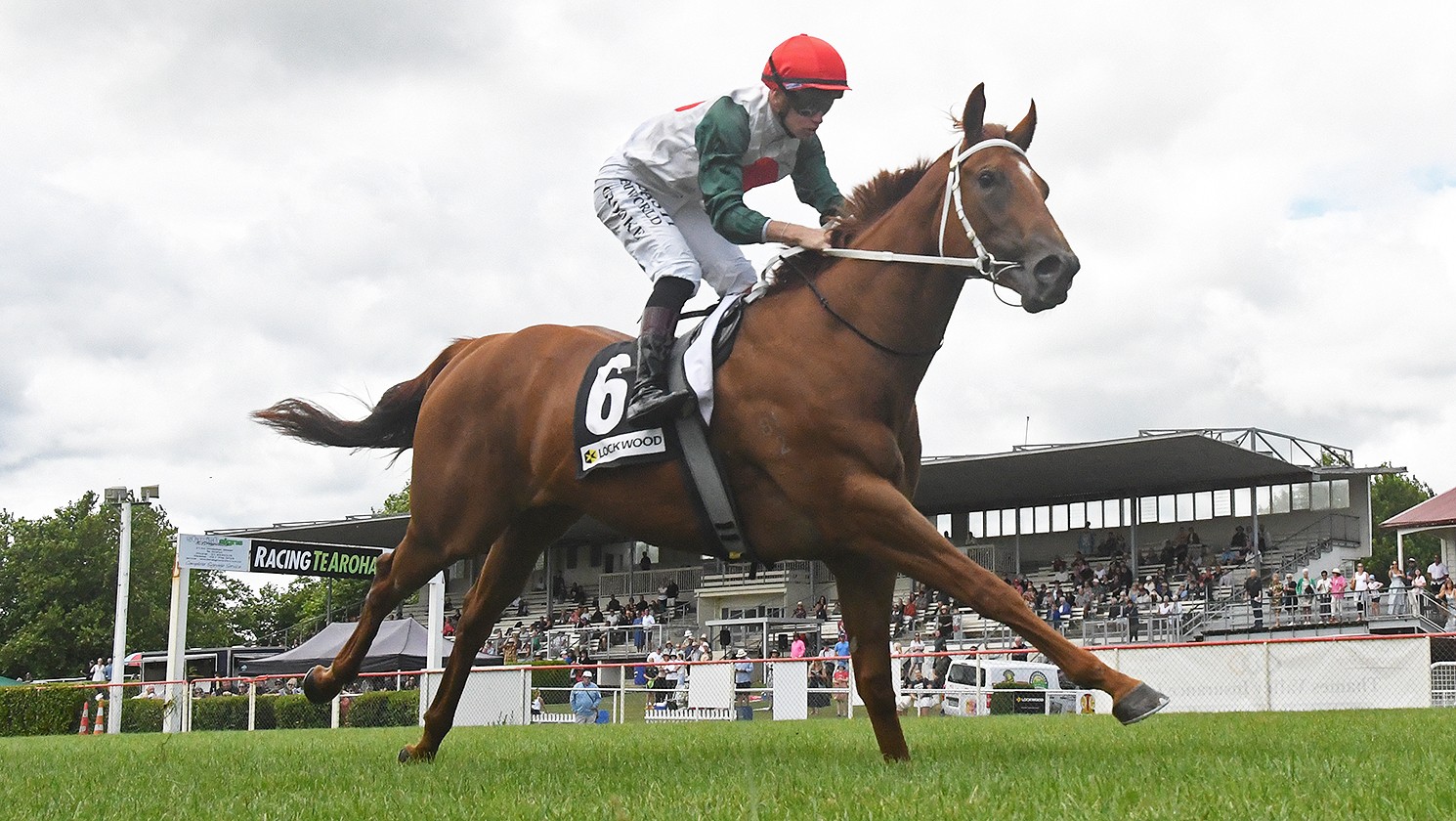 Gypsy hoping to weave her path to Karaka Millions