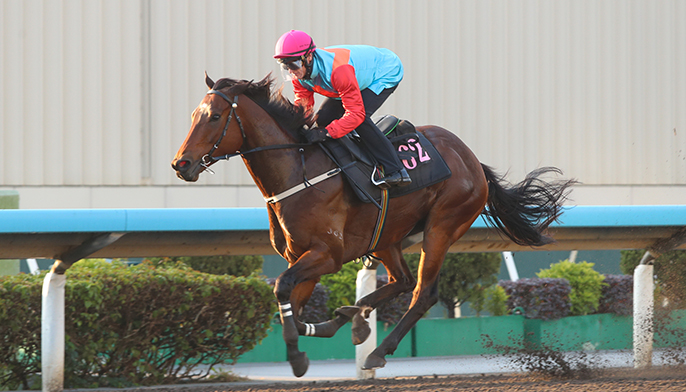 Ka Ying Rising impresses in Sha Tin barrier trial