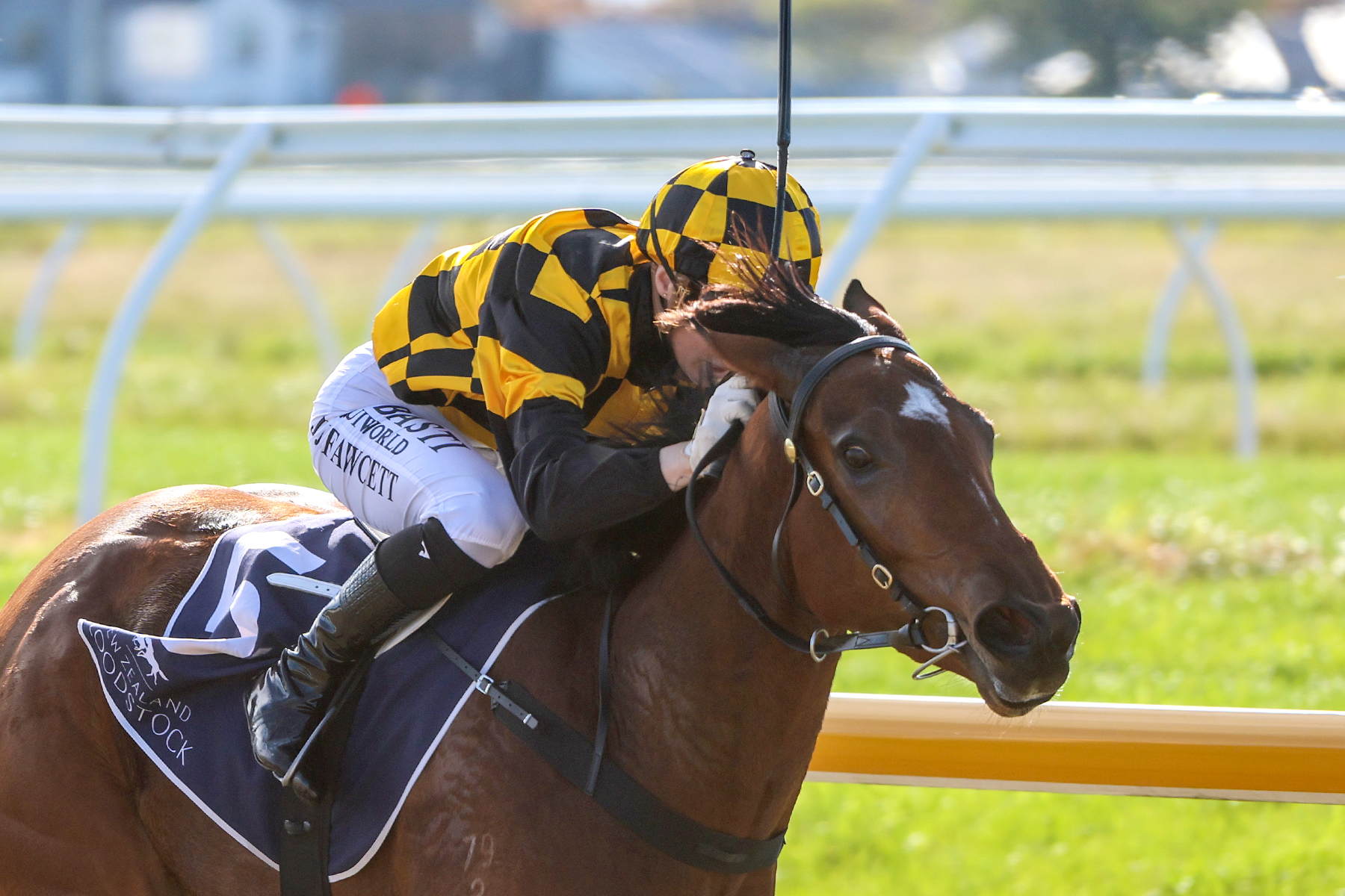 Stakes winning youngster ready for Ellerslie return