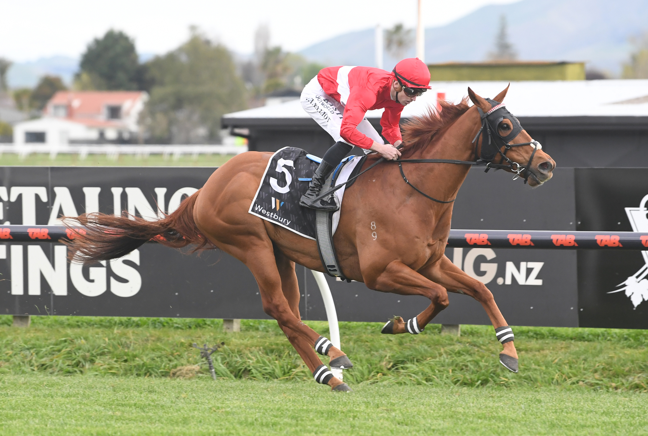 Cole navigating familiar path with Group One performer