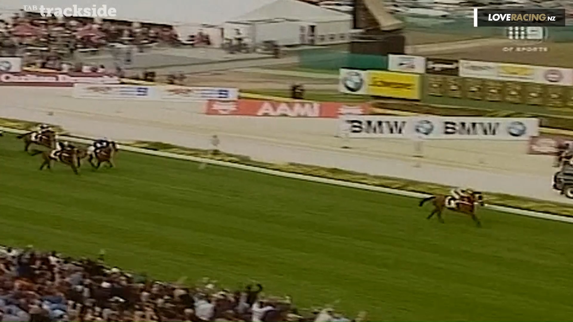 New Zealand's W.S. Cox Plate champions