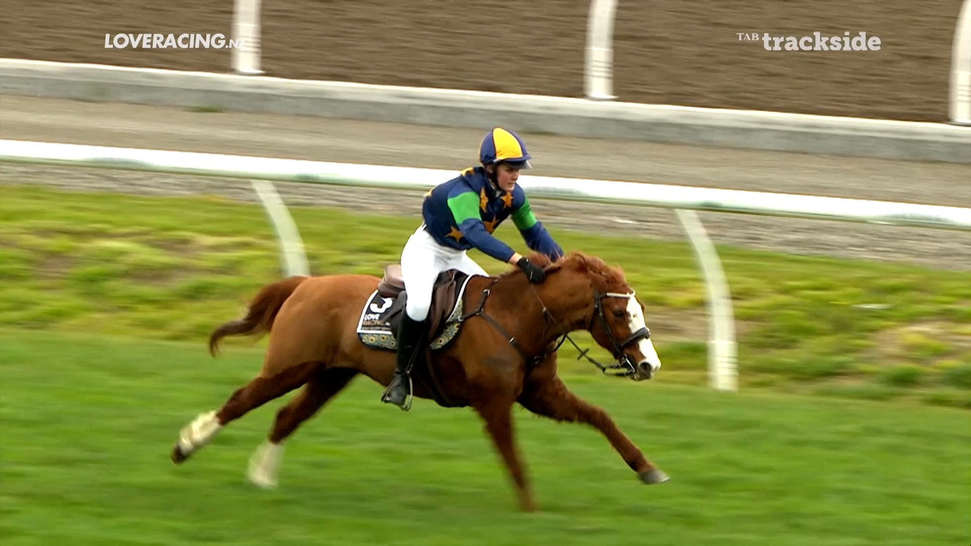 LOVERACING.NZ Pony Scurry, Heat 2 - Awapuni, 26 August