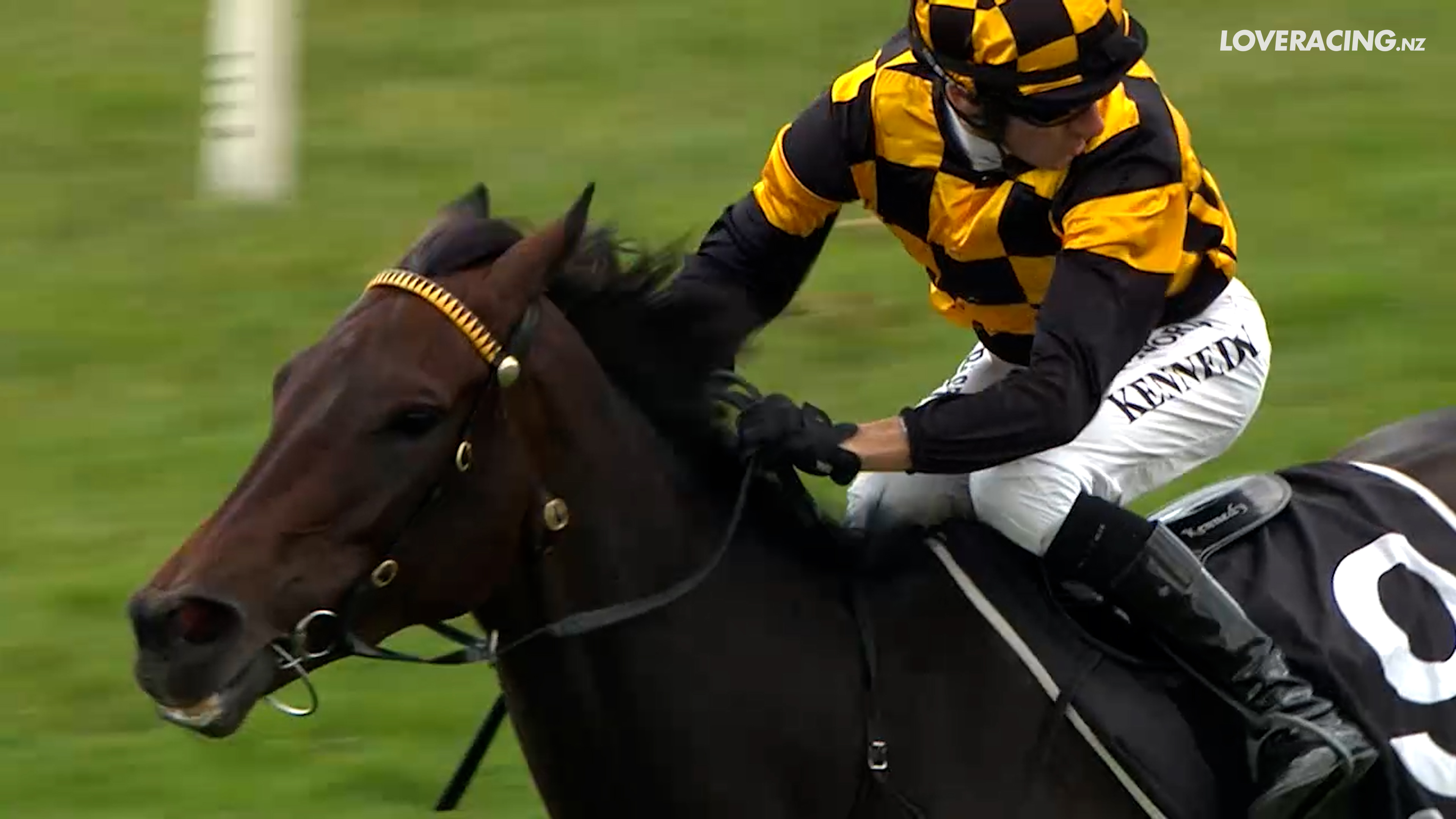 Gr.2 ATR Avondale Cup