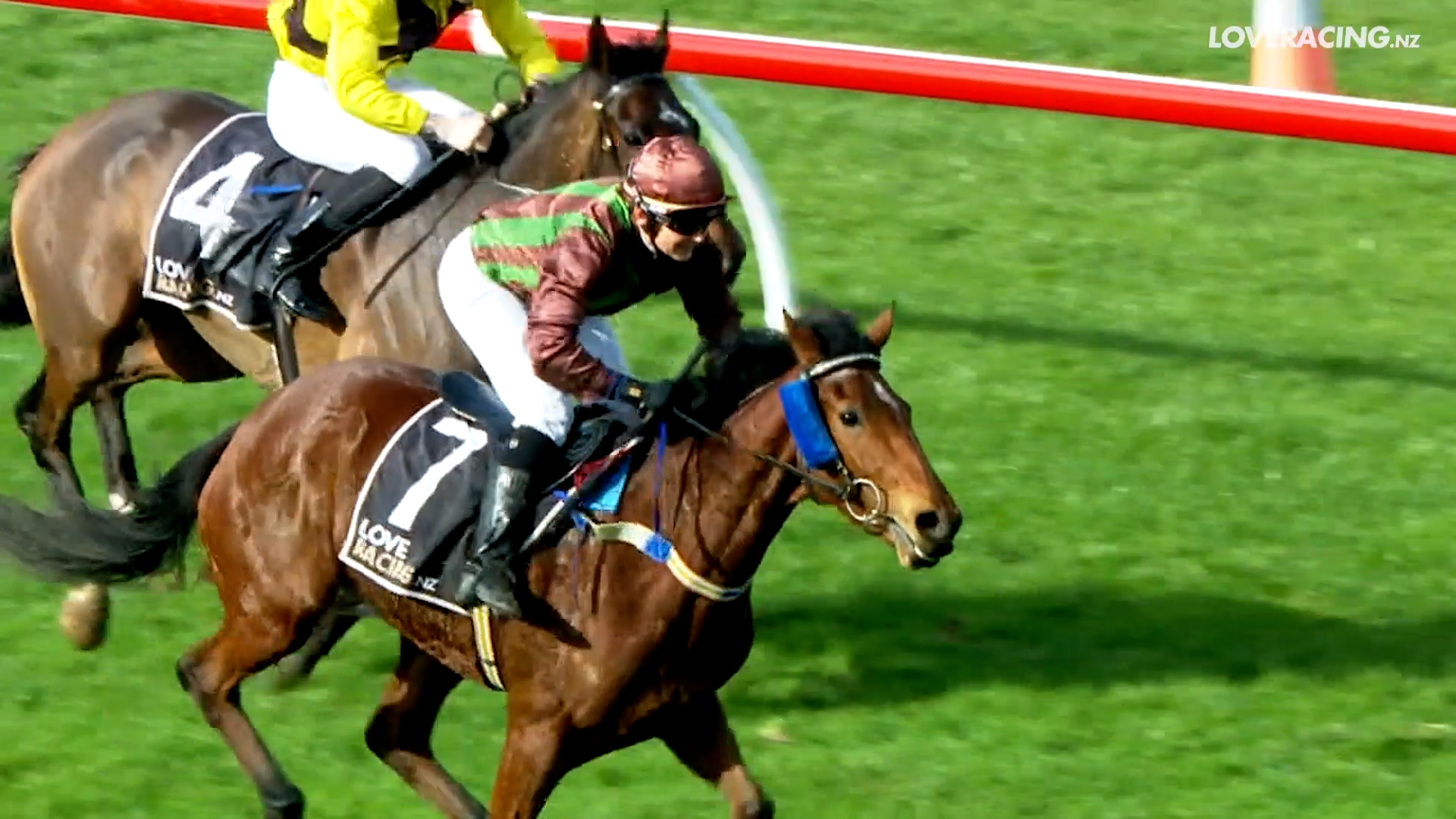 Super Star King Duke of Gloucester Cup - Madam Zara