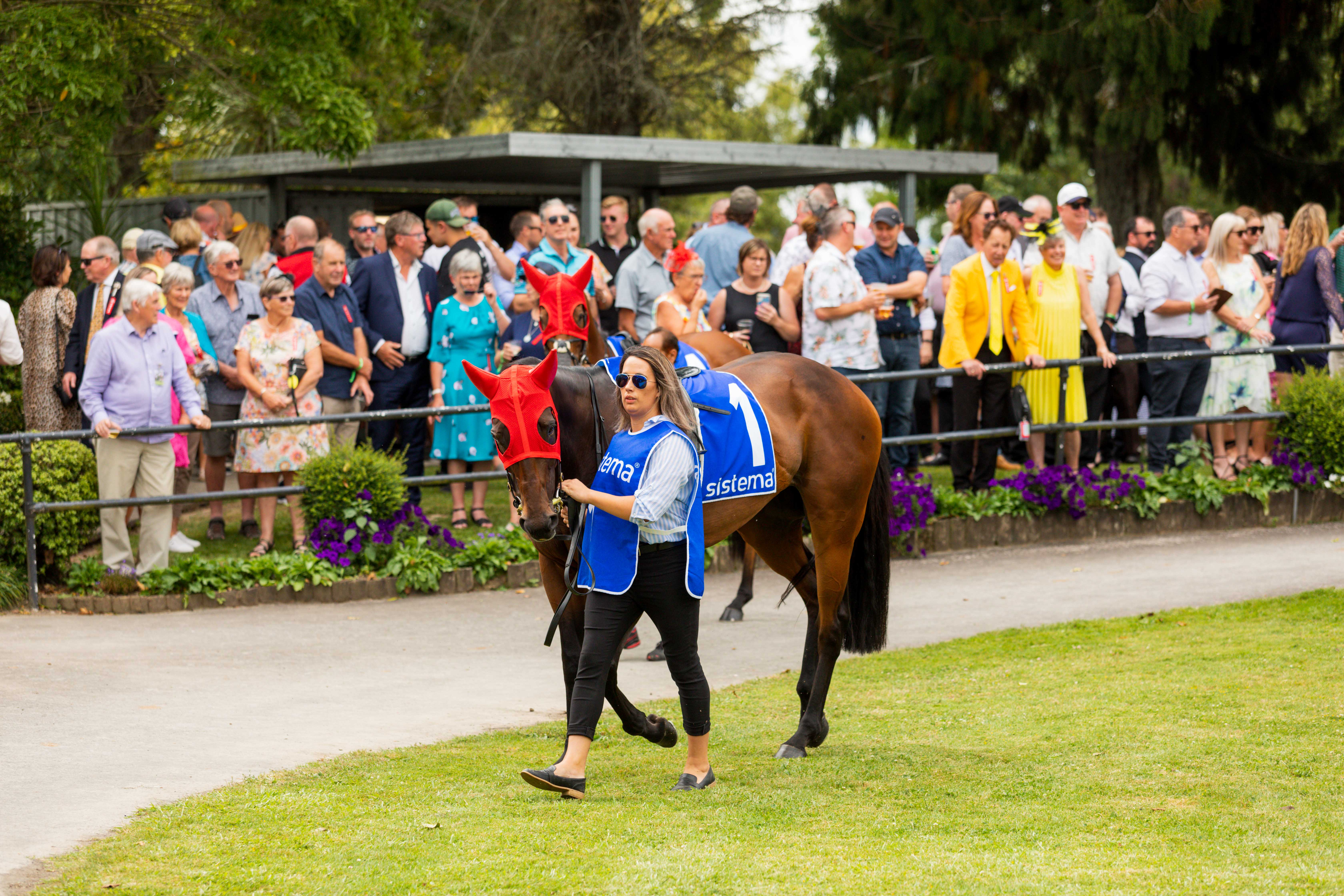 Stablehand Of The Year - Megan Winter