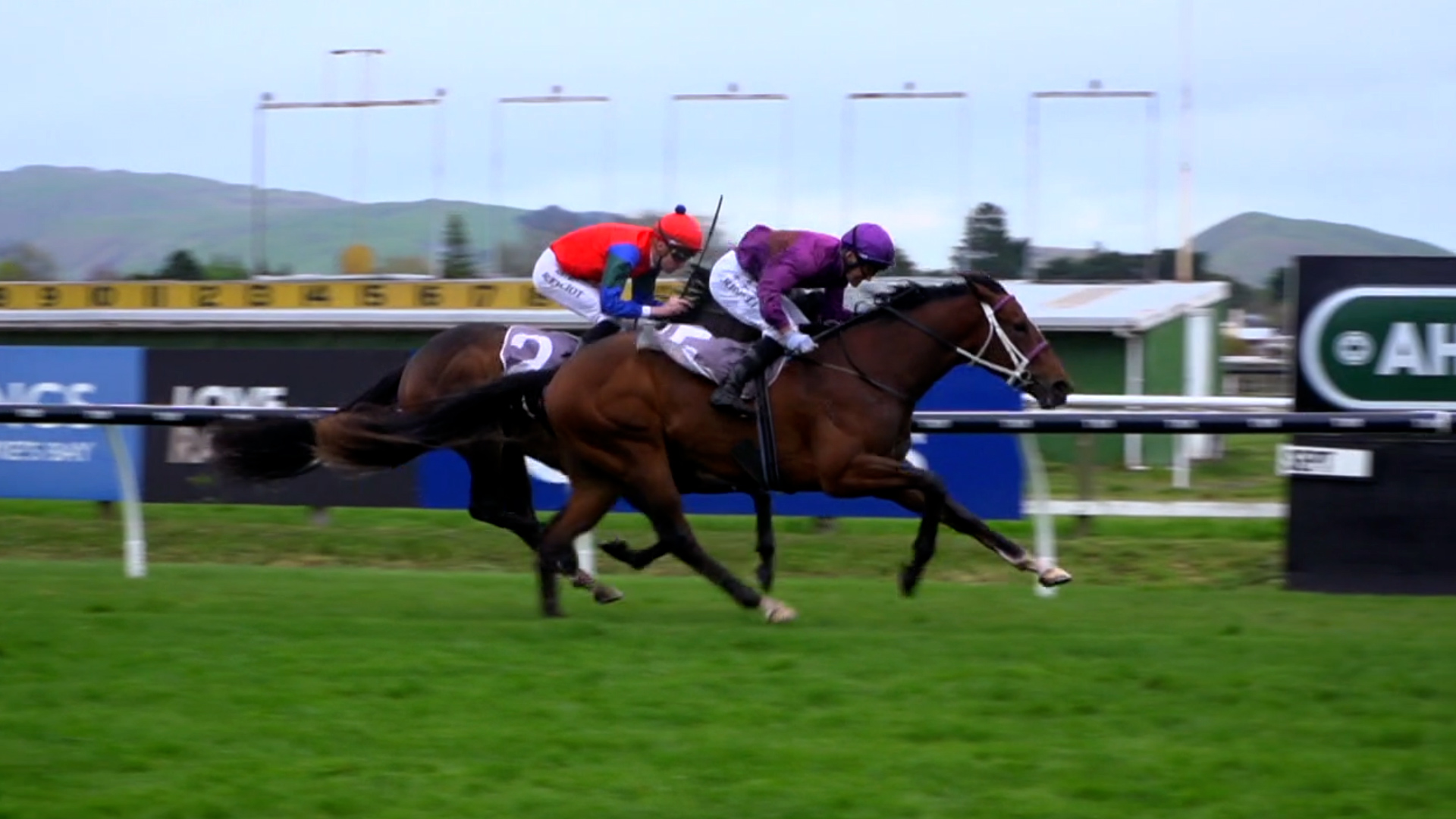 Lantern Way breakthrough in the Gr.2 Hawke's Bay Guineas