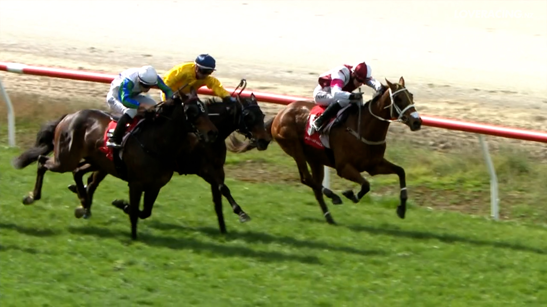 Performance of the Week - Warren Kennedy