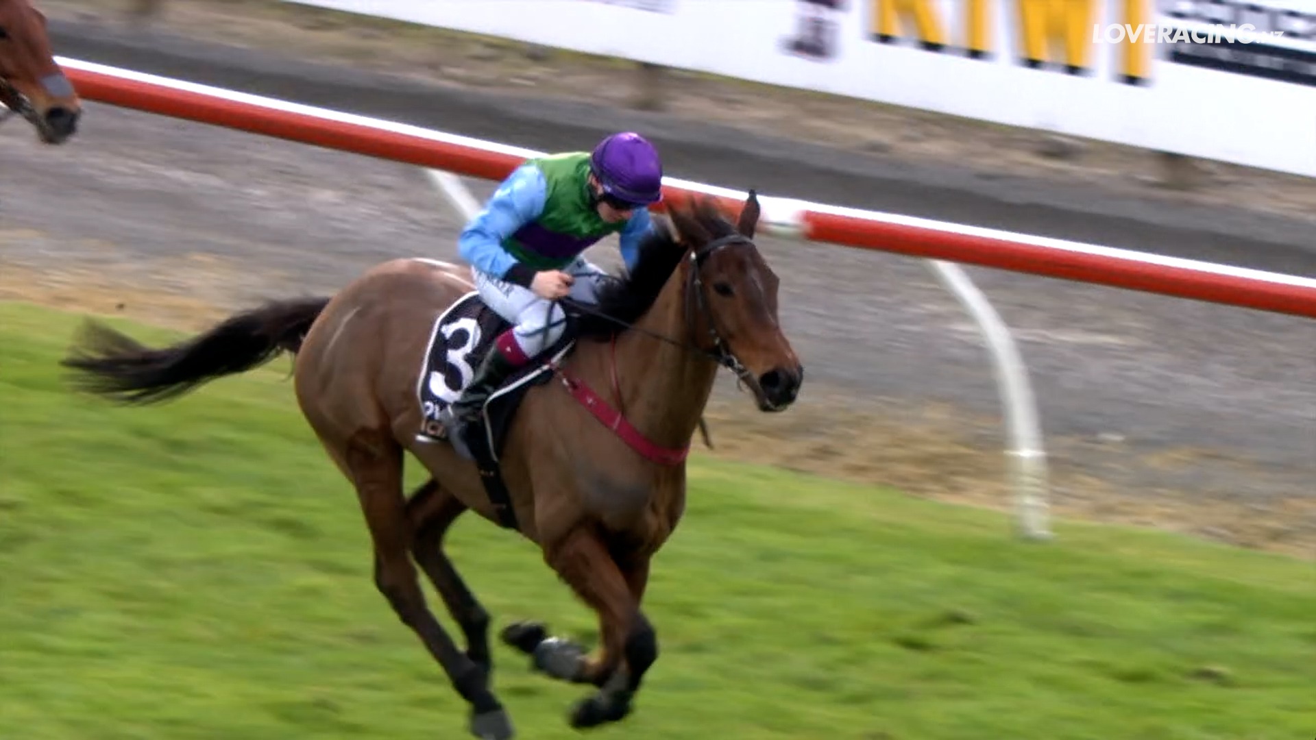 Racecourse Hotel & Motor Lodge Koral Steeplechase - Prince Turbo