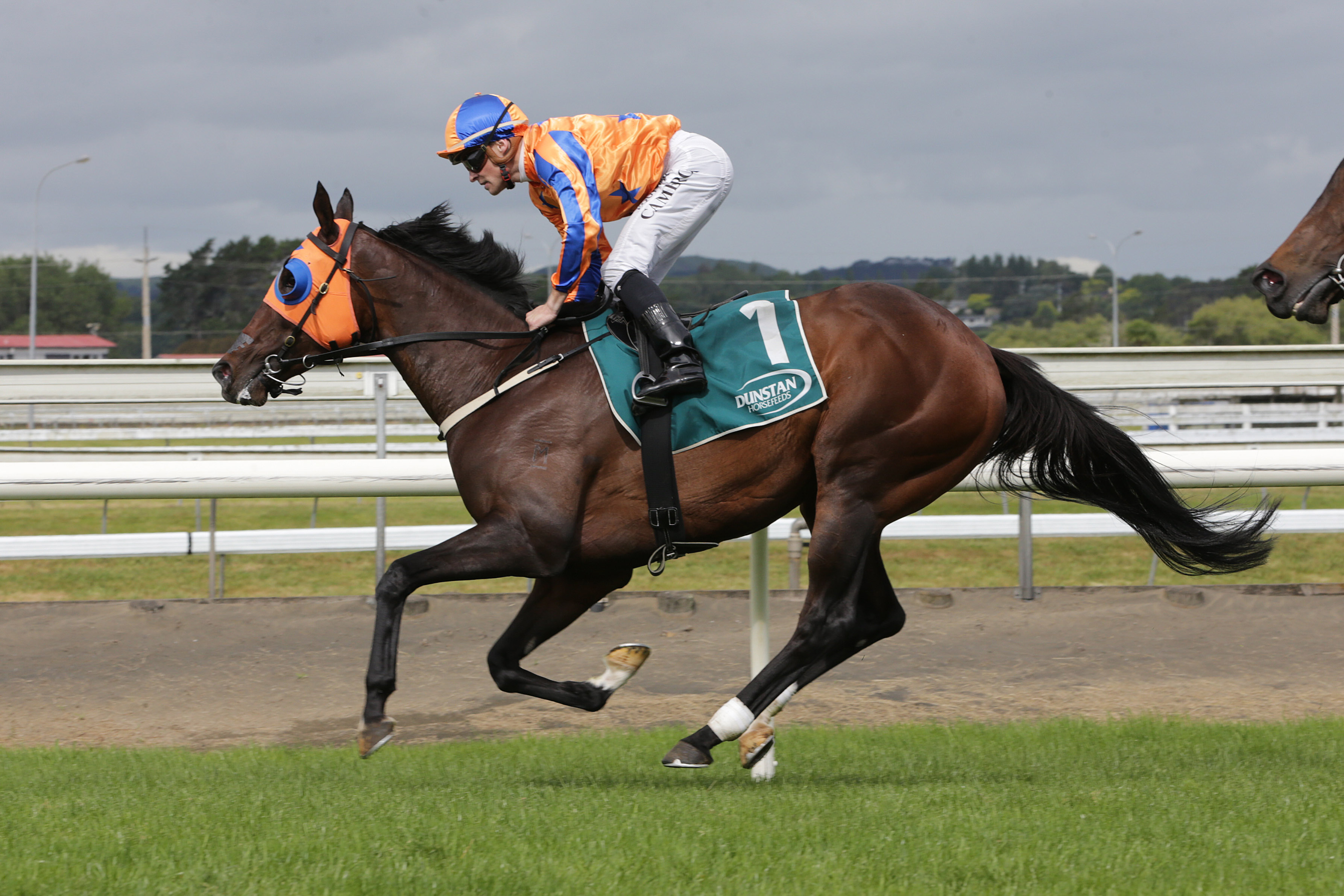 Campionessa - Gr.2 Auckland Thoroughbred Breeders' Stakes Replay