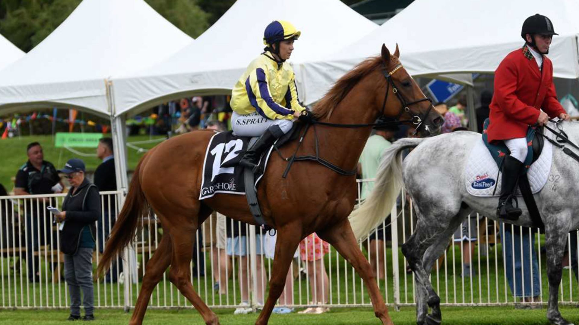 Five to Follow - 8 November