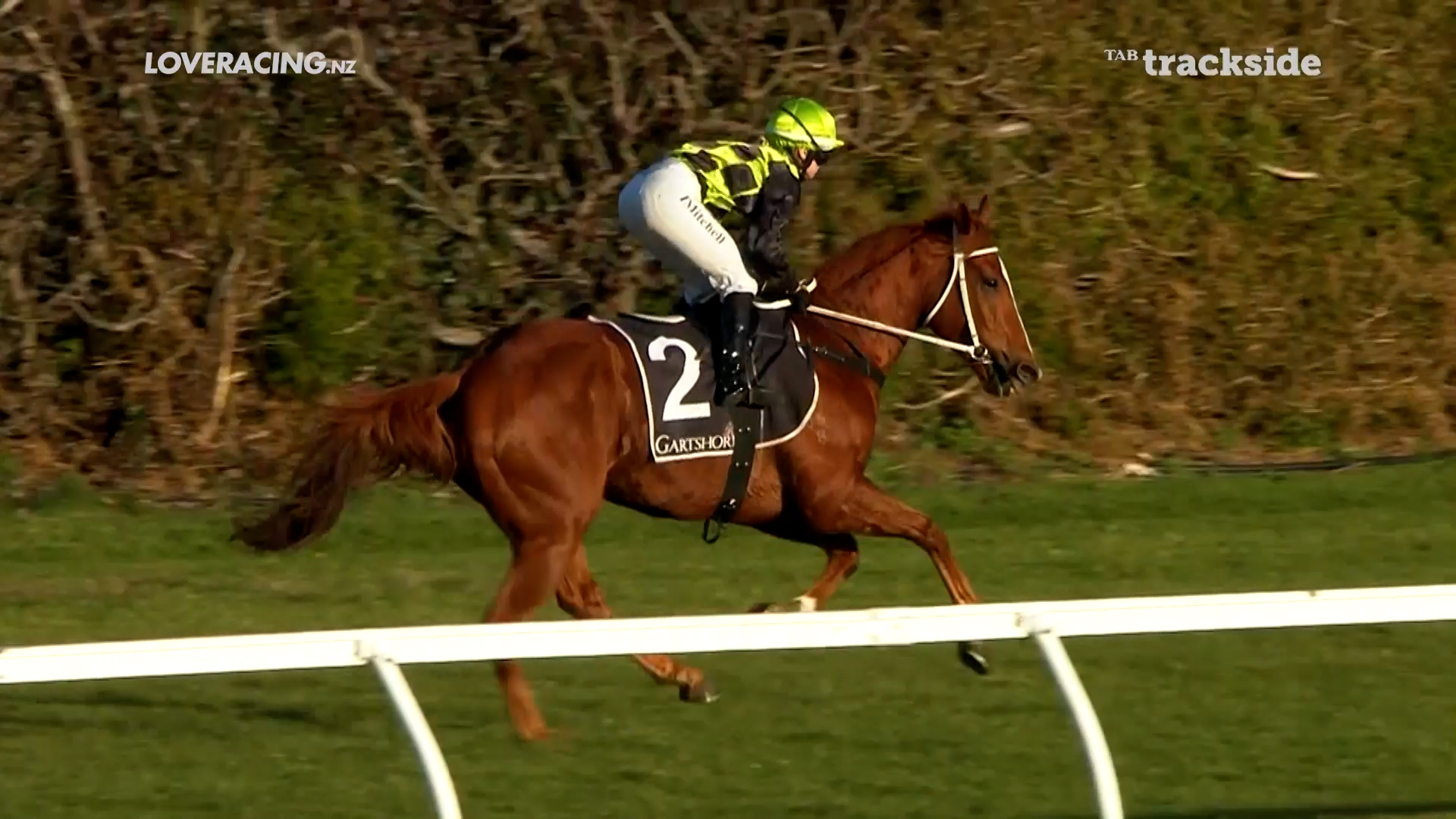 Ride of the Week - Tayla Mitchell