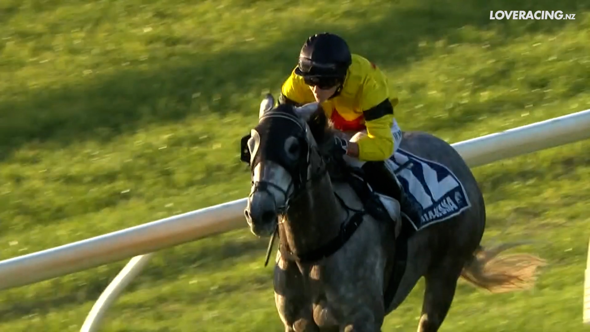 Ride of the Week - Tegan Newman