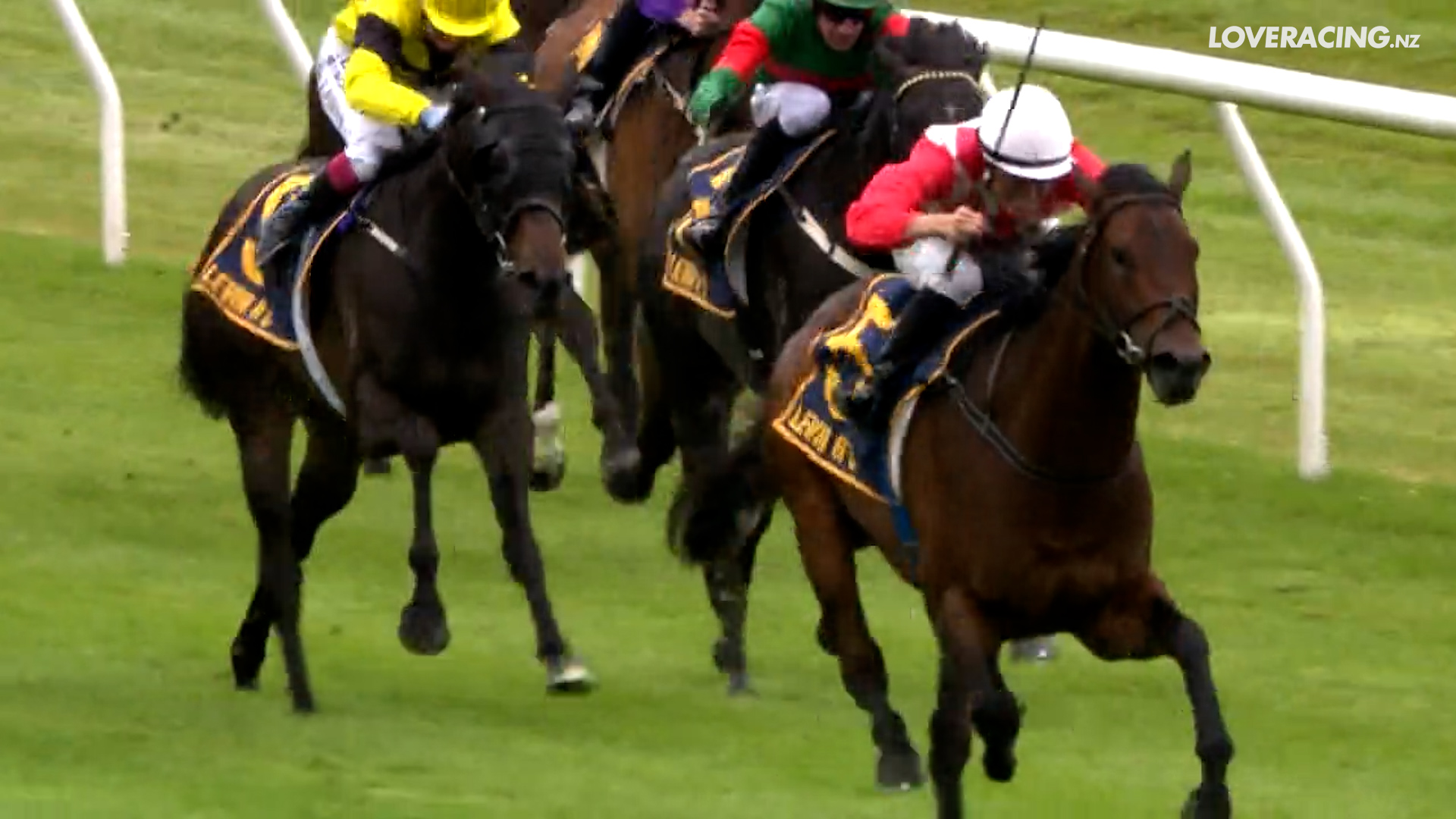 Gr.3 Elsdon Park Wellington Stakes - Zabmanzor