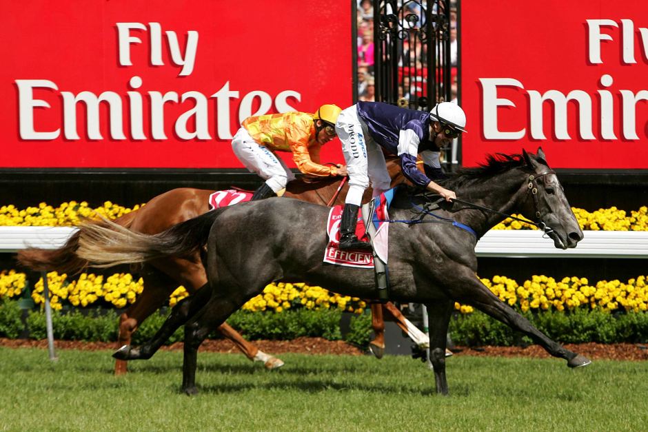 Efficient 2007 Melbourne Cup