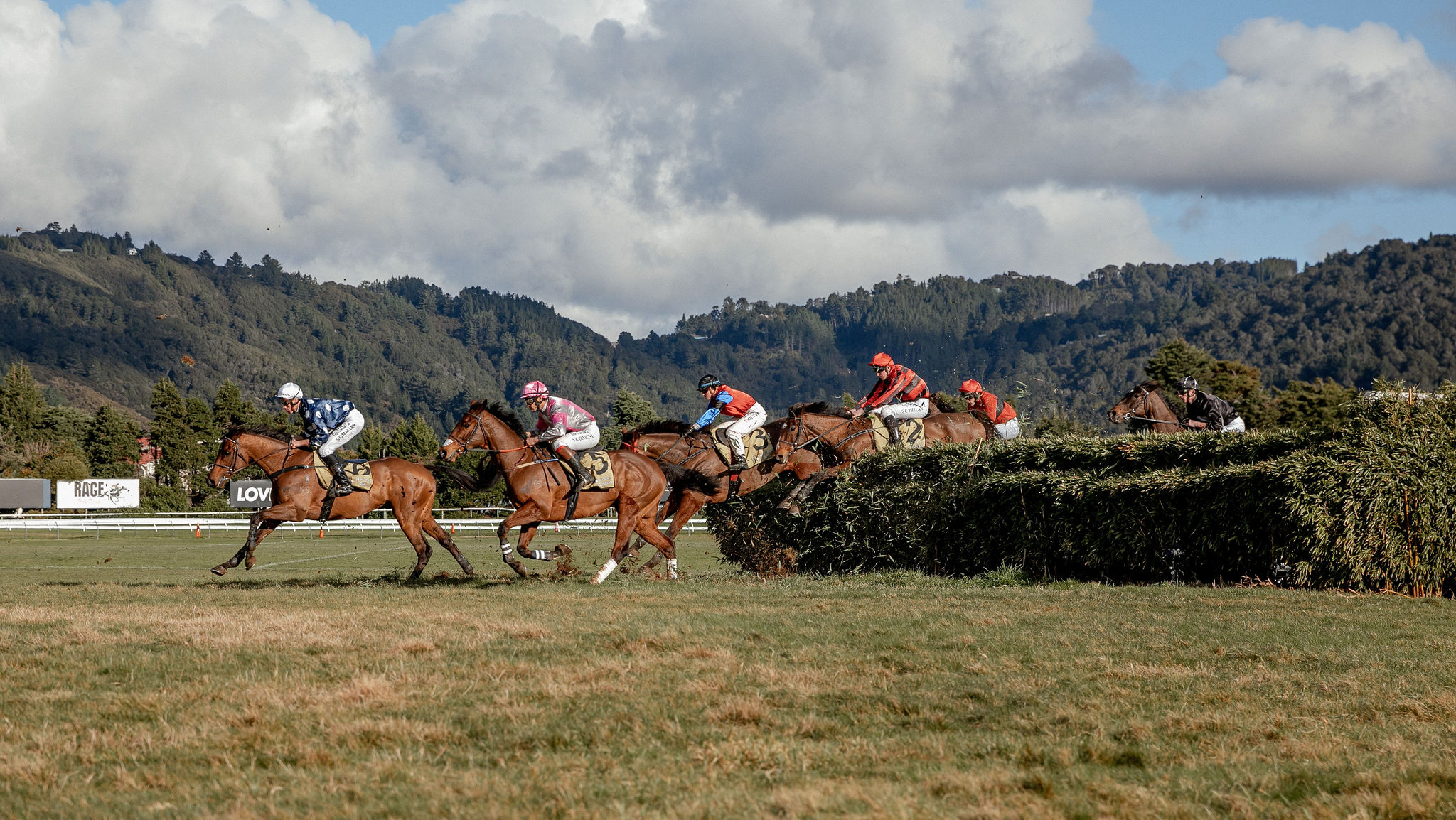 Bring on Jump Racing for 2024!