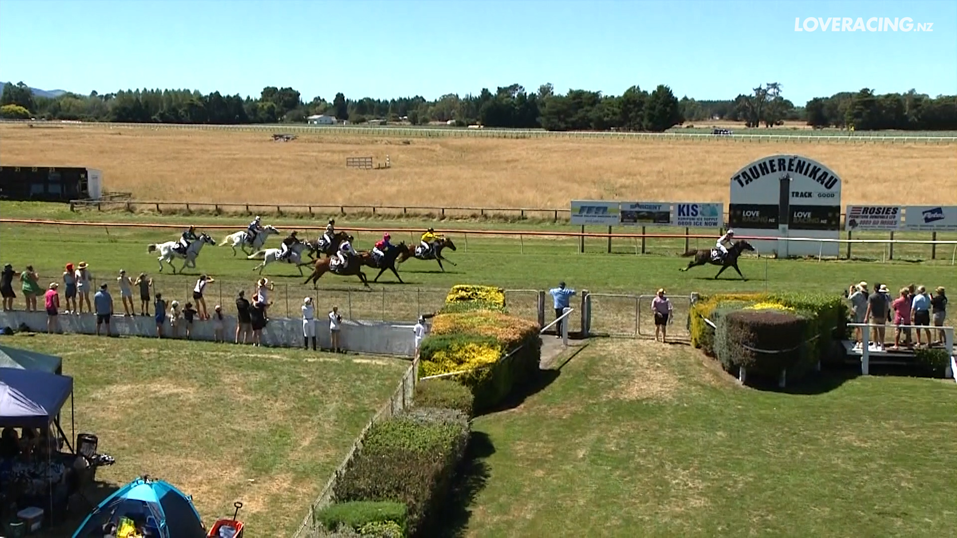 LOVERACING.NZ Pony Scurry - Tauherenikau Heat 2