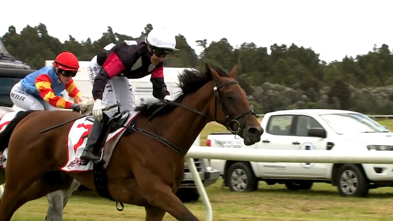 Robbie Patterson and Regal Dice take home the 2024 Kumara Gold Nuggets