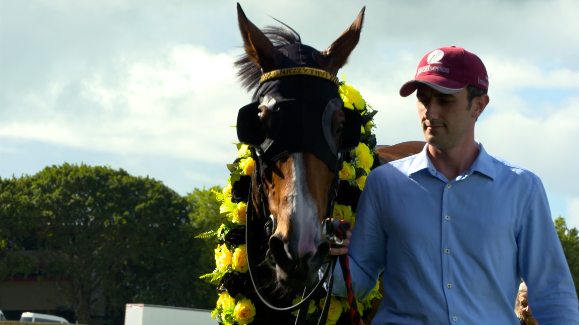 Cambridge Stud standout Boxing Day
