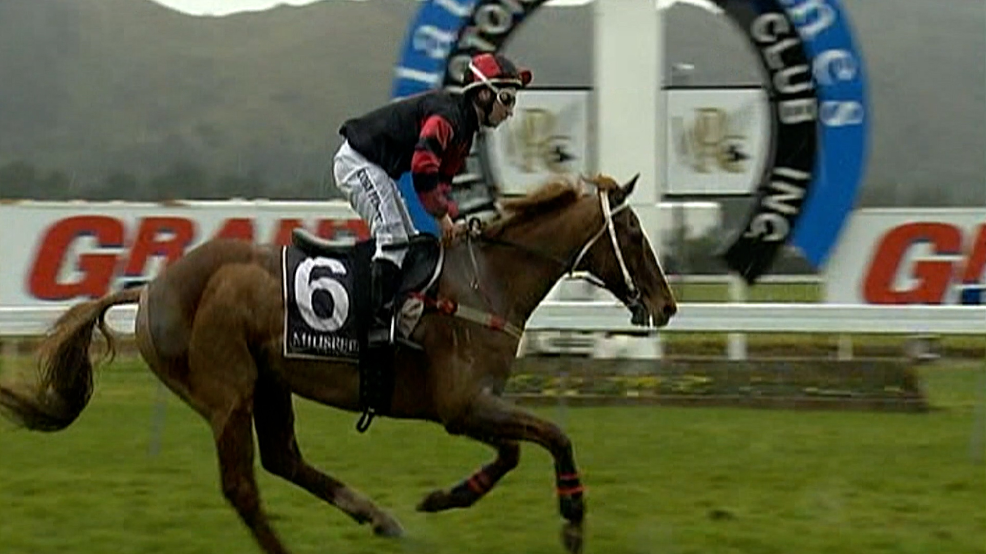2014 Wellington Steeplechase - Rangatira and Cory Perrett