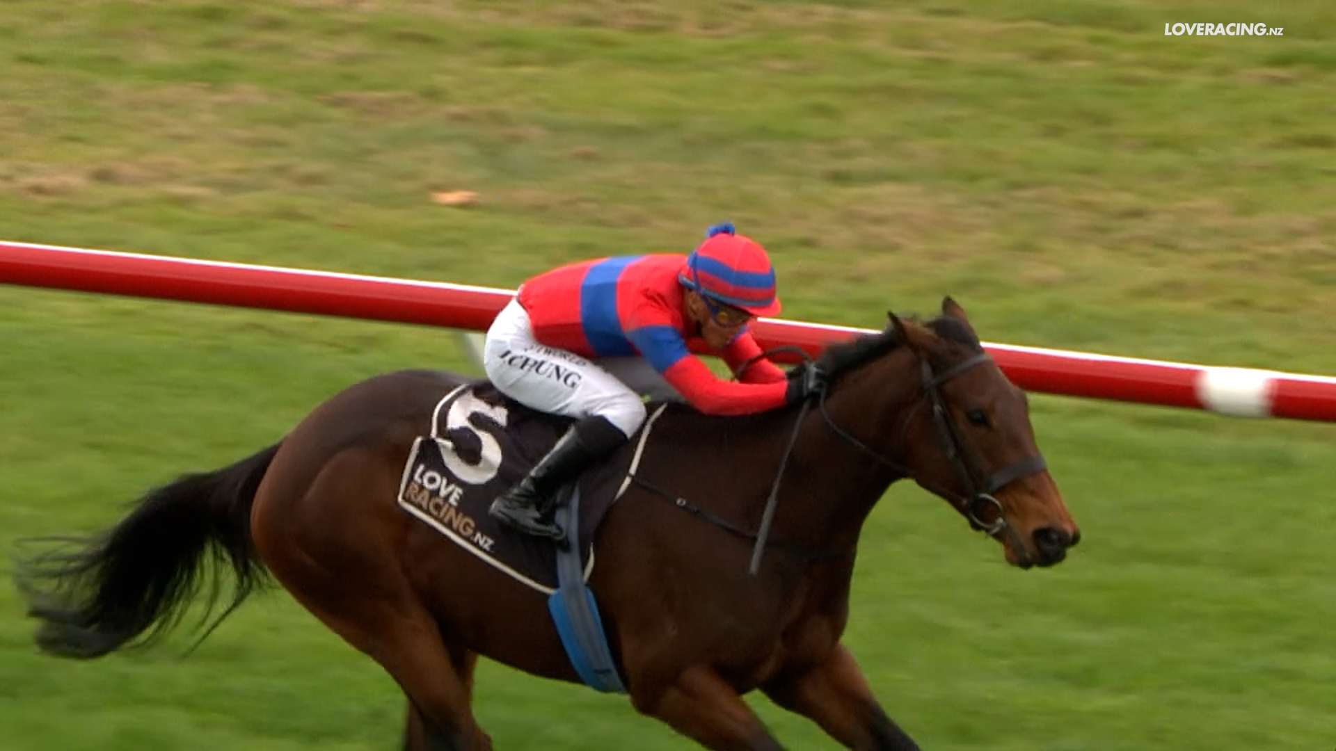 Happy 80th Birthday Garry Chittick 1100 - Bold Belle