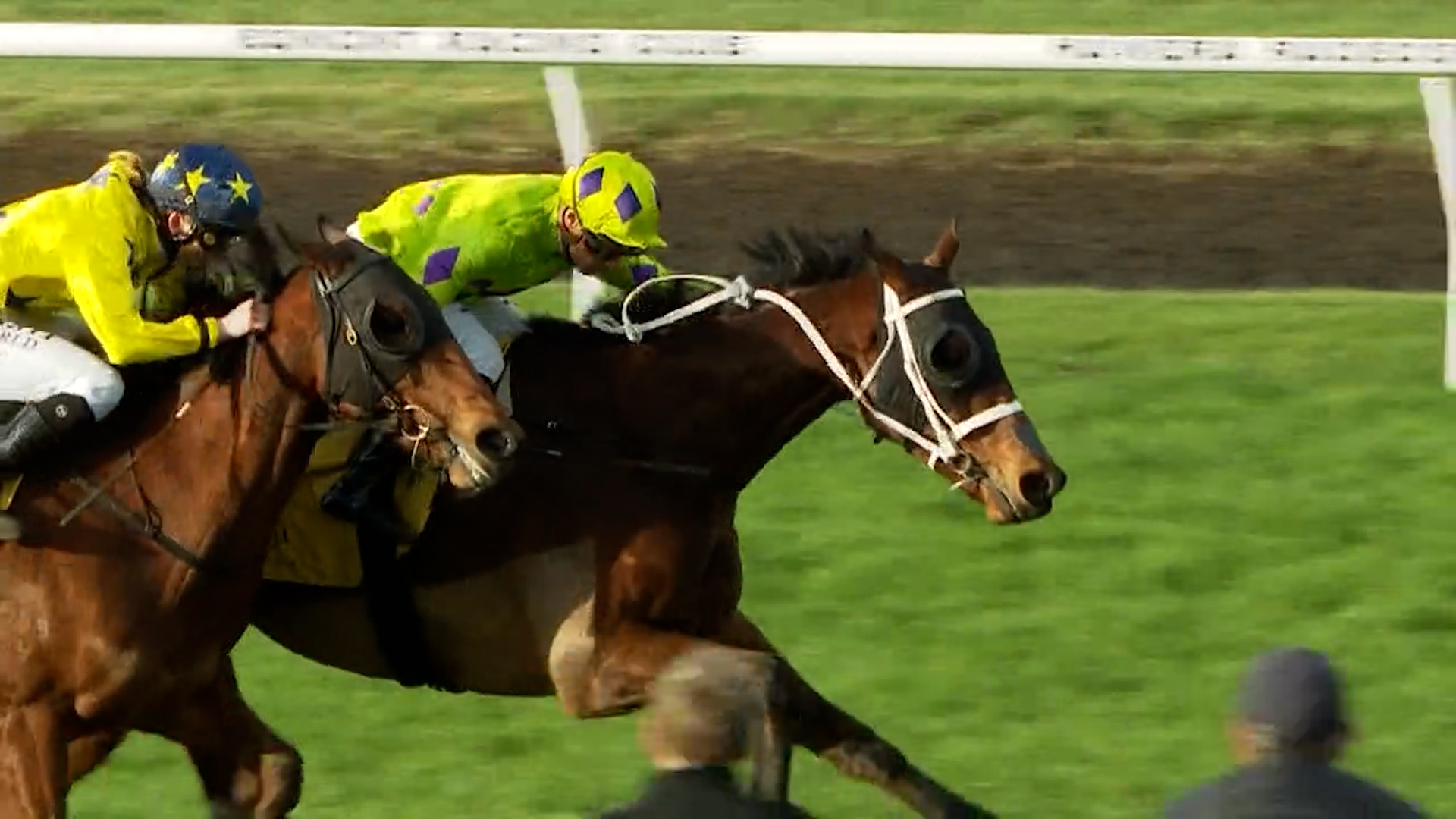 Revital Fertilisers Open - Crouch