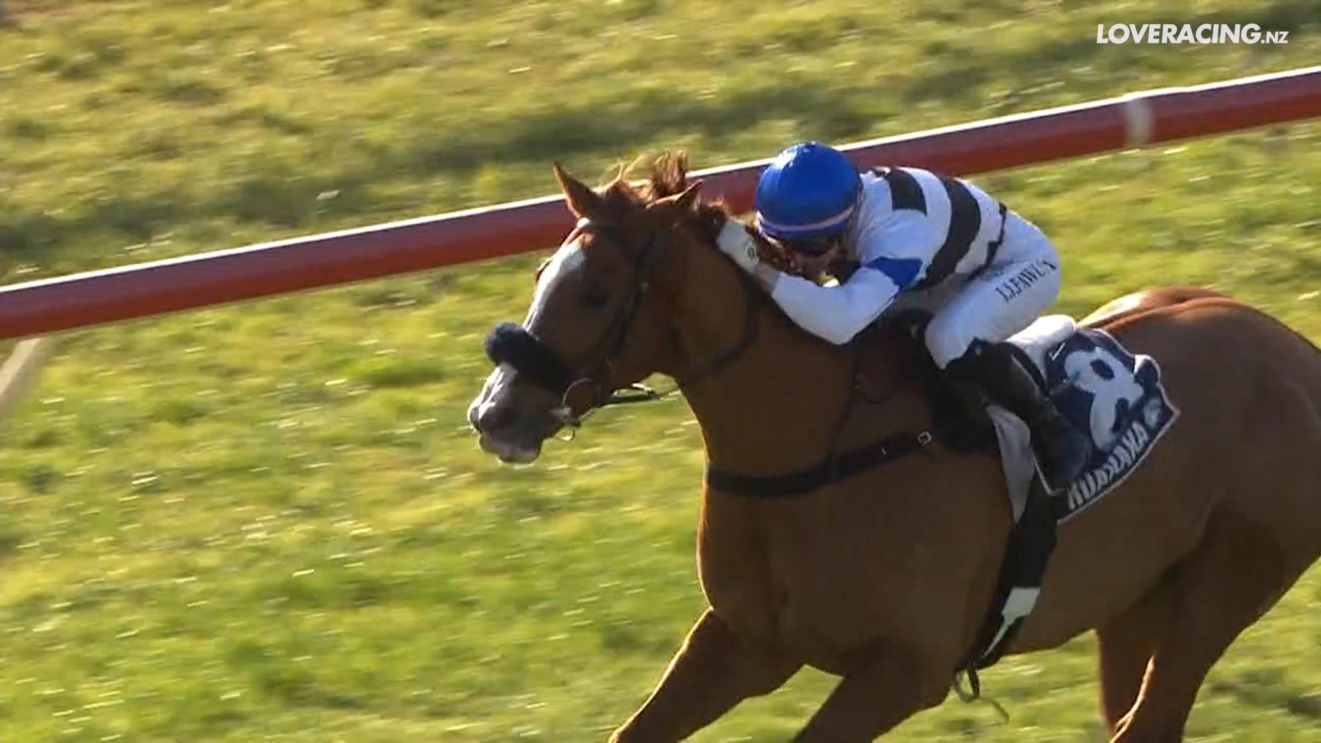 ITM/GIB Whangarei Gold Cup Stayers' Final - Fly My Wey